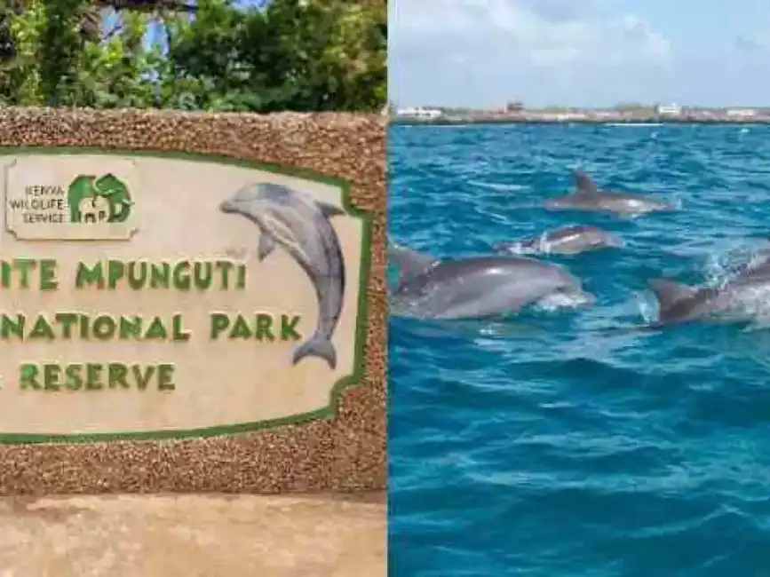 Kisite-Mpunguti Marine National Park - Ayoma