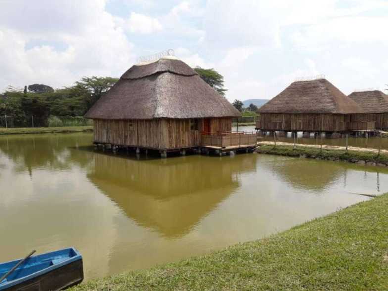 Nyasi Eco Resort Kajjansi - Ayoma